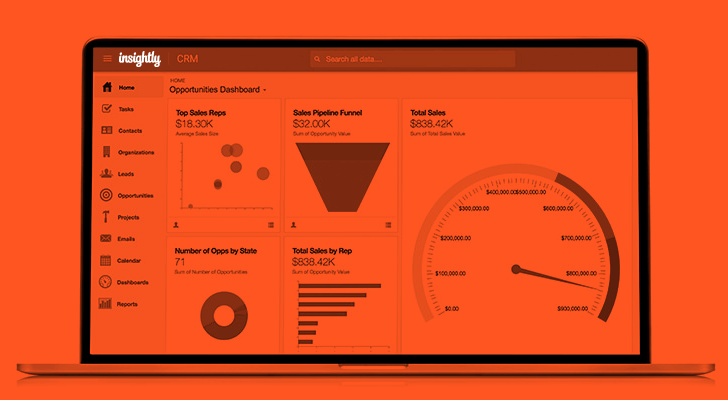 Introducing customer dashboard and data visualization | Insightly
